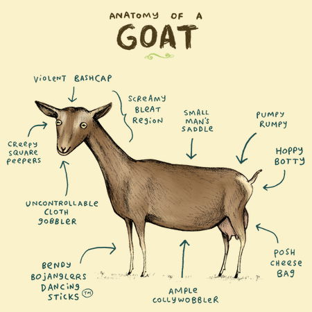 Anatomy of a Goat - NeatoShop